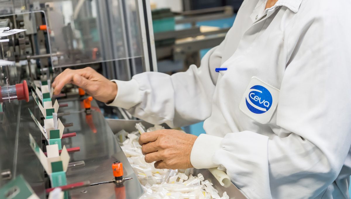 CEVA II - iXO Private Equity
